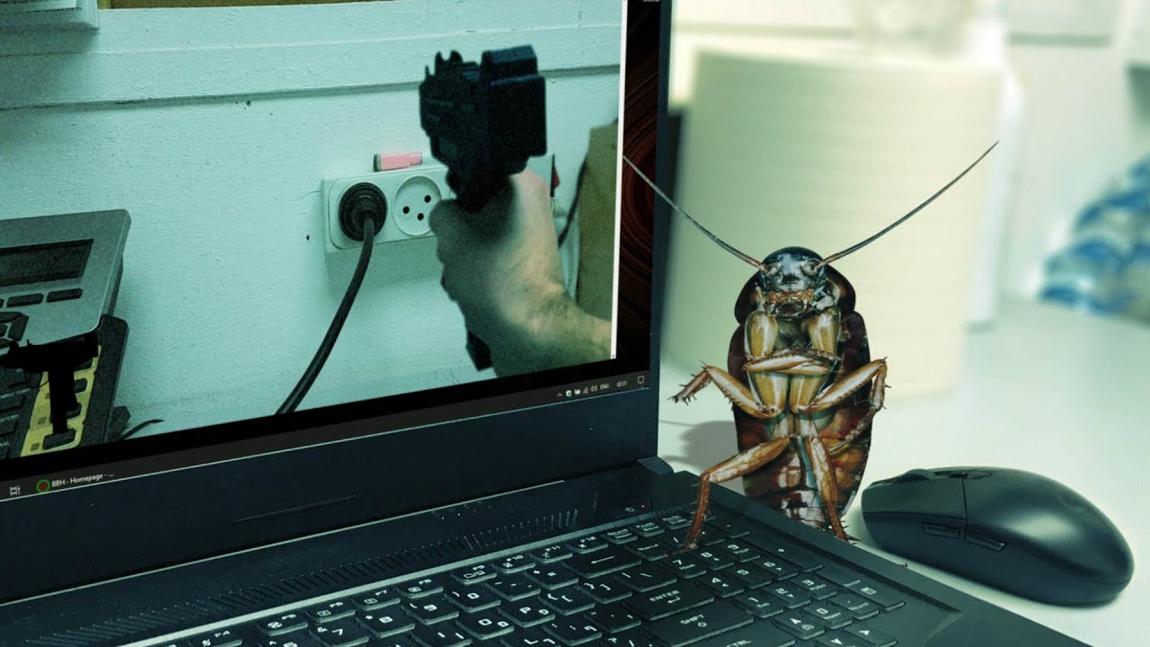 Cockroach Killer - Funny Short Film - YouTube