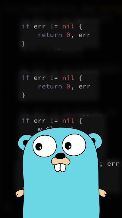 I learned the Go Programming Language 👩‍💻 #coding #coder #programming # ...