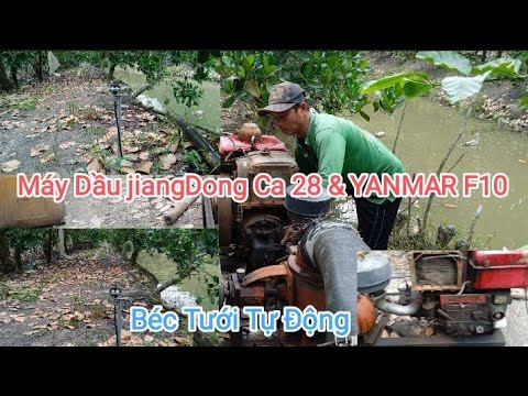 Máy Dầu jiangDong Ca 28 & YANMAR F10 Béc Tưới Tự Động - YouTube