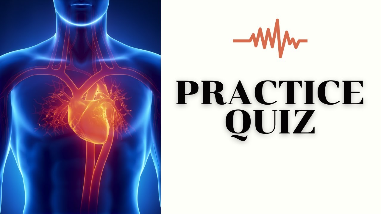 PRACTICE QUIZ: Cardiovascular System - YouTube