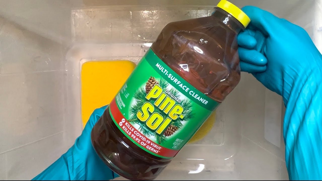 PINE SOL | SPONGE SQUEEZING NEVER ENDING SUDS 🫧 - YouTube