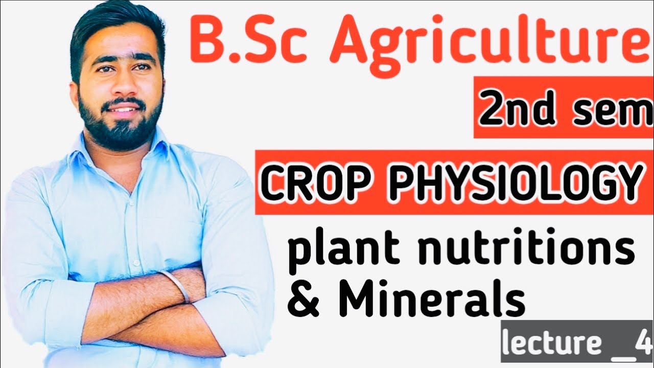 Plant nutrition : mineral nutrition of plants / classification of plant ...