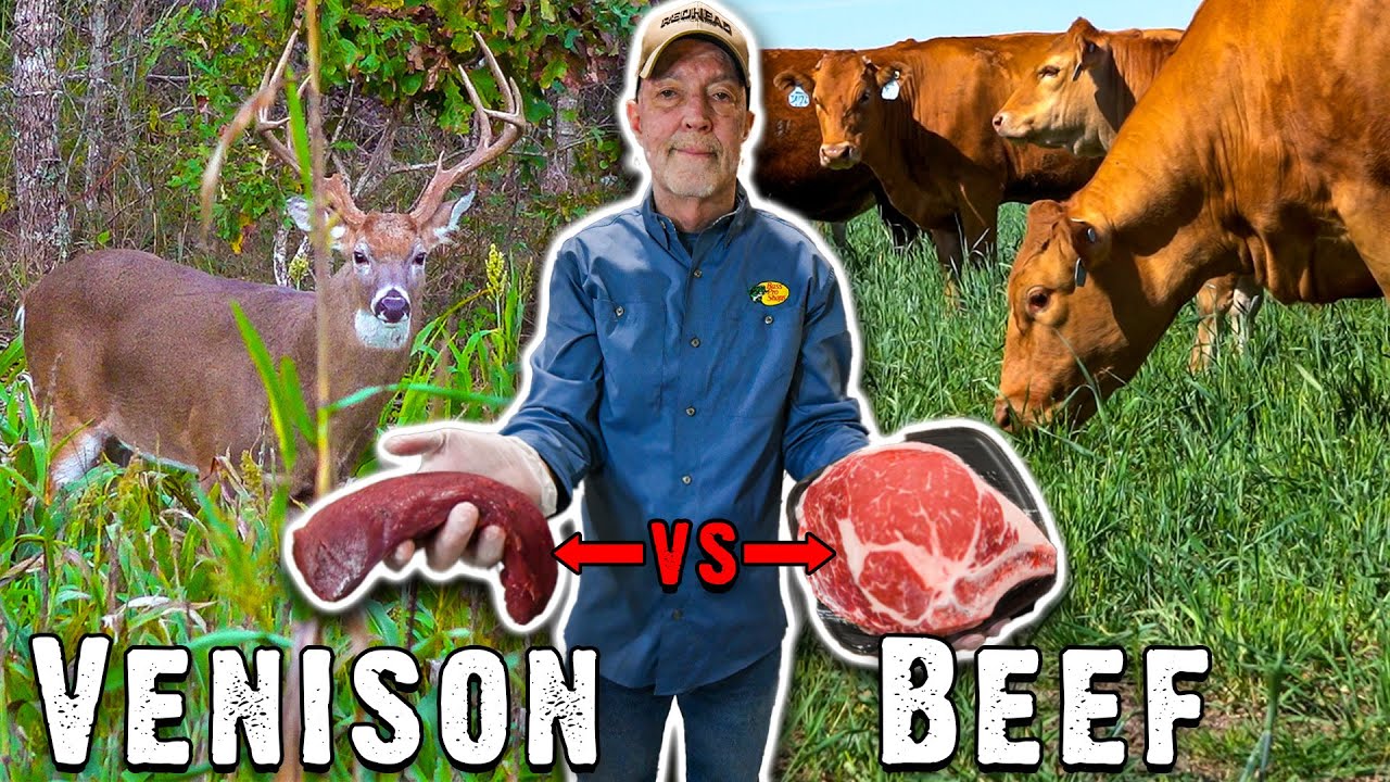 Wild Deer Meat vs Store Beef: The Truth - YouTube