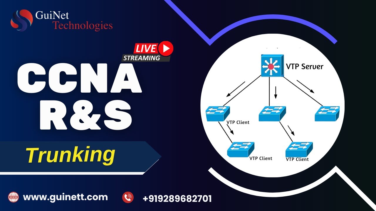 Master VLAN Trunking: 802.1Q Protocol, Trunk Ports, and Native VLANs ...