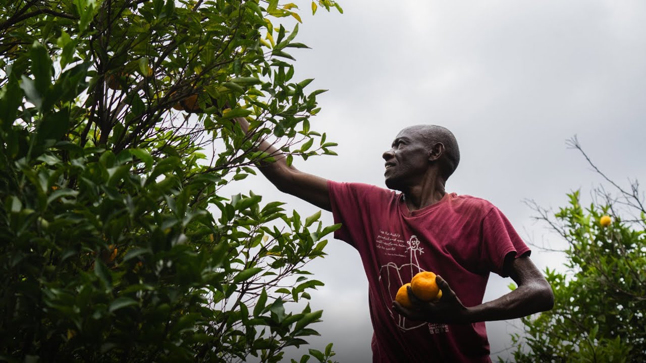 The TIST Model: Planting Trees, Empowering Communities - YouTube