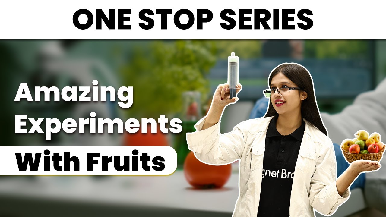 Amazing Experiments With Fruits | Fruit Experiments | Science ...
