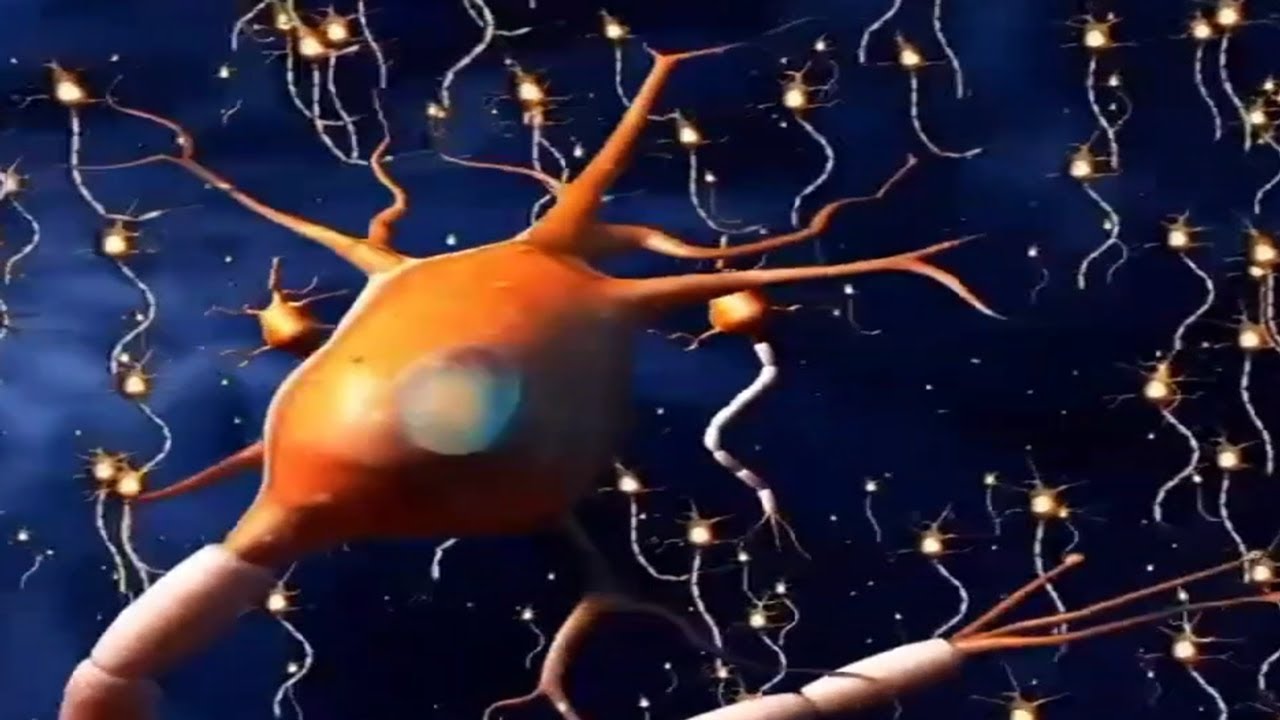 The Brain Song but everytime they repeat a word it loops - YouTube