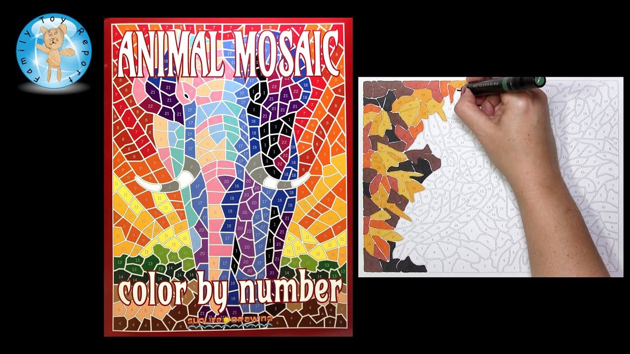 Animal Mosaic Color by Number Coloring Book Sunlife Drawing Owls ...