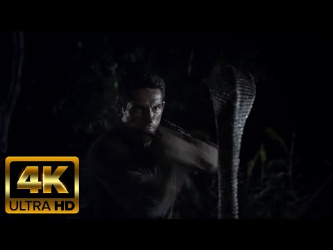 Scott Adkins Samurai Ninja Shadow Of A Tear 2013 4K