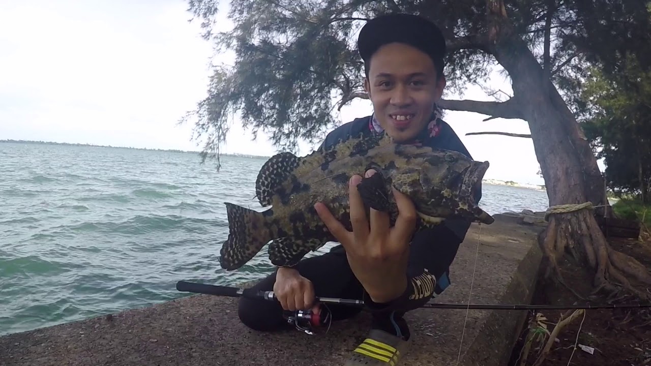 Hunting Hybrid Grouper In Pelumpong island - YouTube