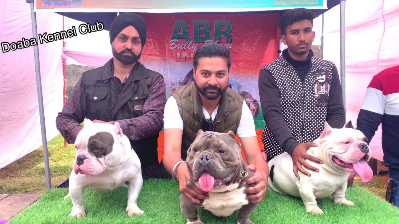 doaba-kennel-club-dog-show-in-india-nawanshehar-dog-show-2021-all