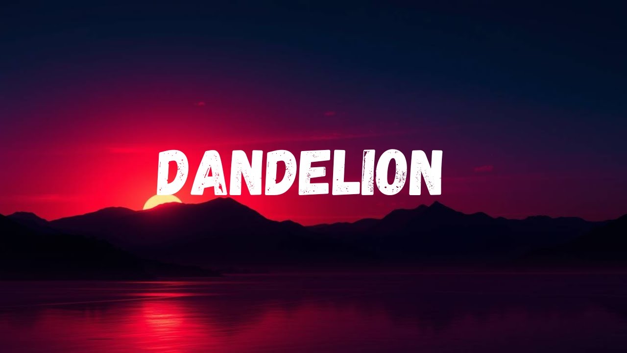Dandelion | Original Heartfelt Lyrics - YouTube