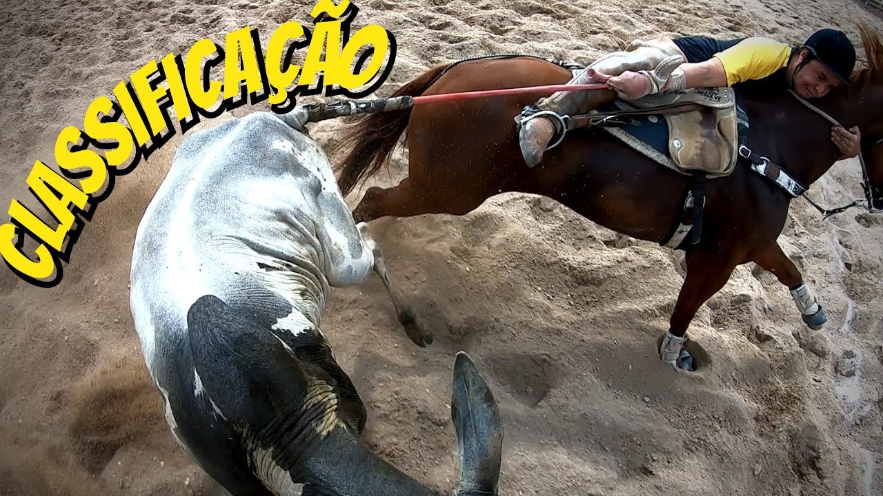 CLASSIFICAÇÃO PAINT HORSE E ASPIRANTE A/B VISÃO GOPRO - ALVA - YouTube