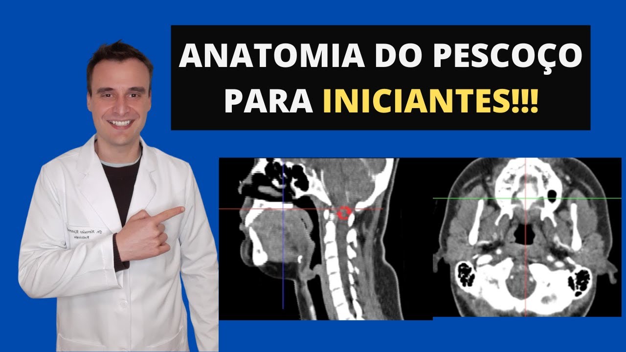 Glandulas Anatomia Do Pescoco O Endocrinologista Resolve Problemas De