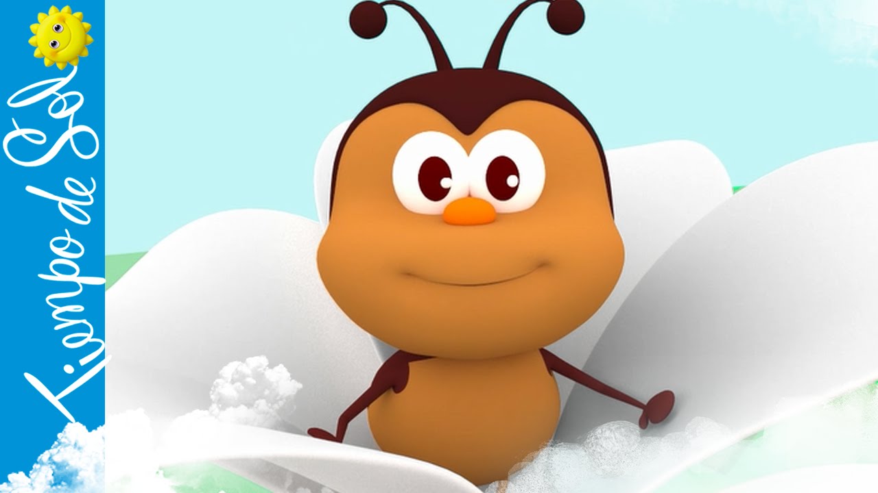 Dúo Tiempo de Sol - Bicho, Bicho - YouTube