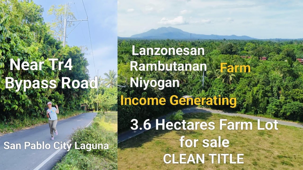 #Vlog415 CLEAN TITLE FARM LOT FOR SALE | Near Tr4 & Bypass Road ...