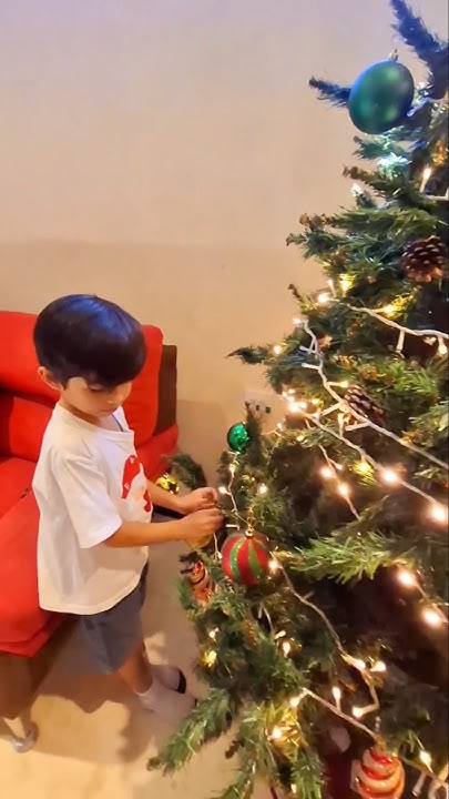 Mi arbolito de Navidad #diversion #feliznavidad #árboldenavidad # ...