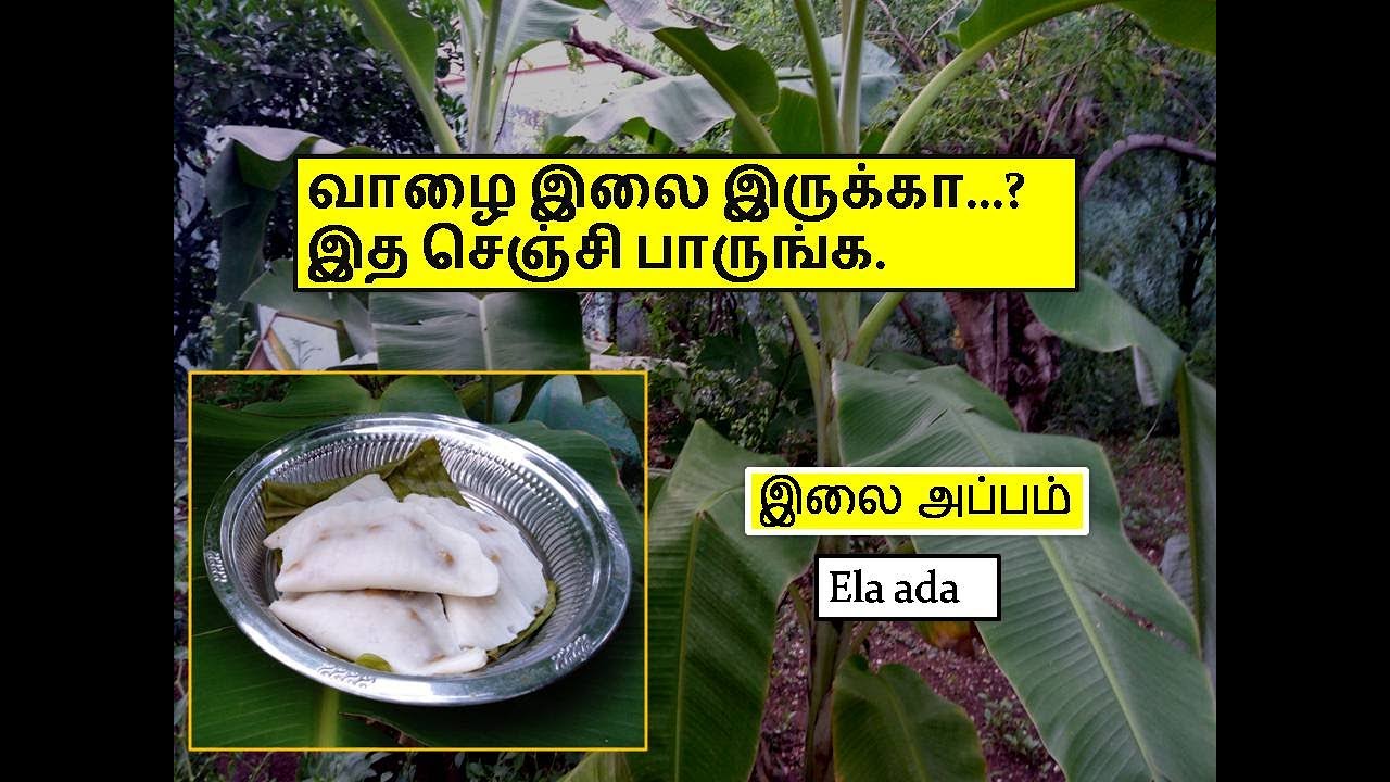 Illai appam / Ela ada / Elai appam Recipe / Best evening snacks / Gaayu ...