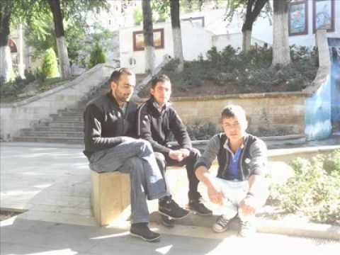 Sedos Halebi