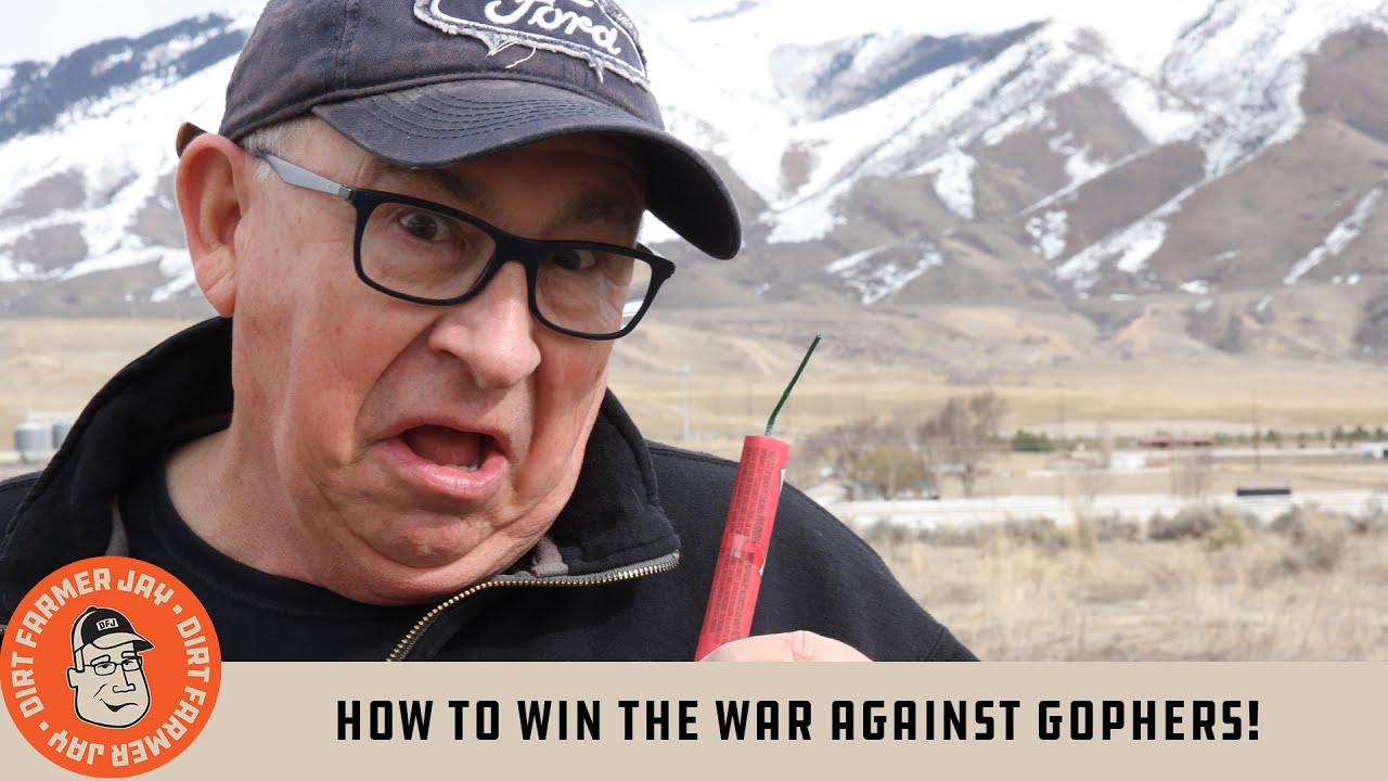 How to Win the War Against Gophers! - YouTube