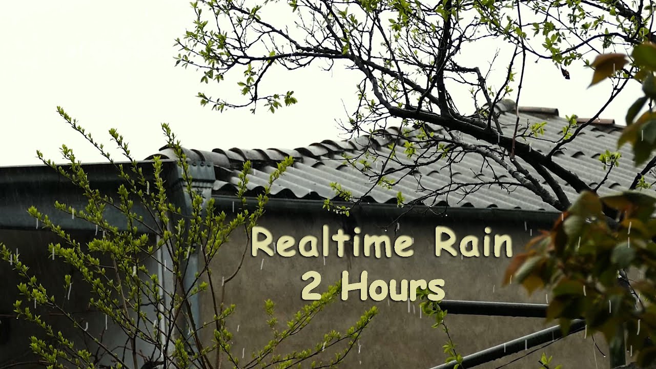 Realtime Rain Sounds & Thunder - Beautiful shots of the rain - YouTube