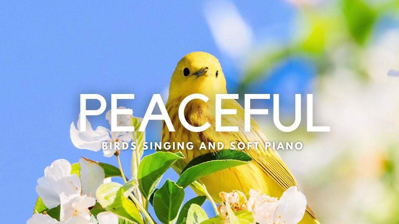 Soothing Piano Music for deep sleep - Stress relief - Healing piano ...