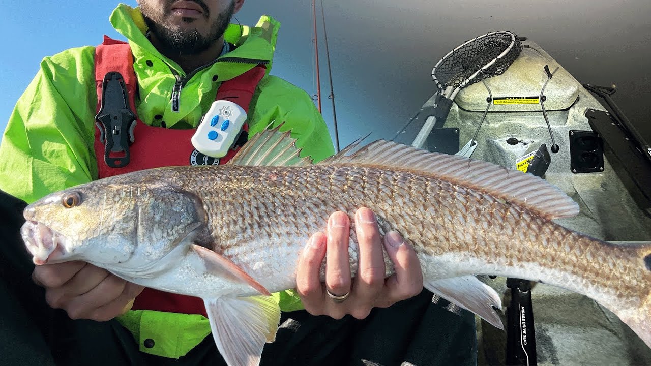 Foggy Morning, Drones, & Redfish | Tampa Bay, FL Kayak Fishing - YouTube