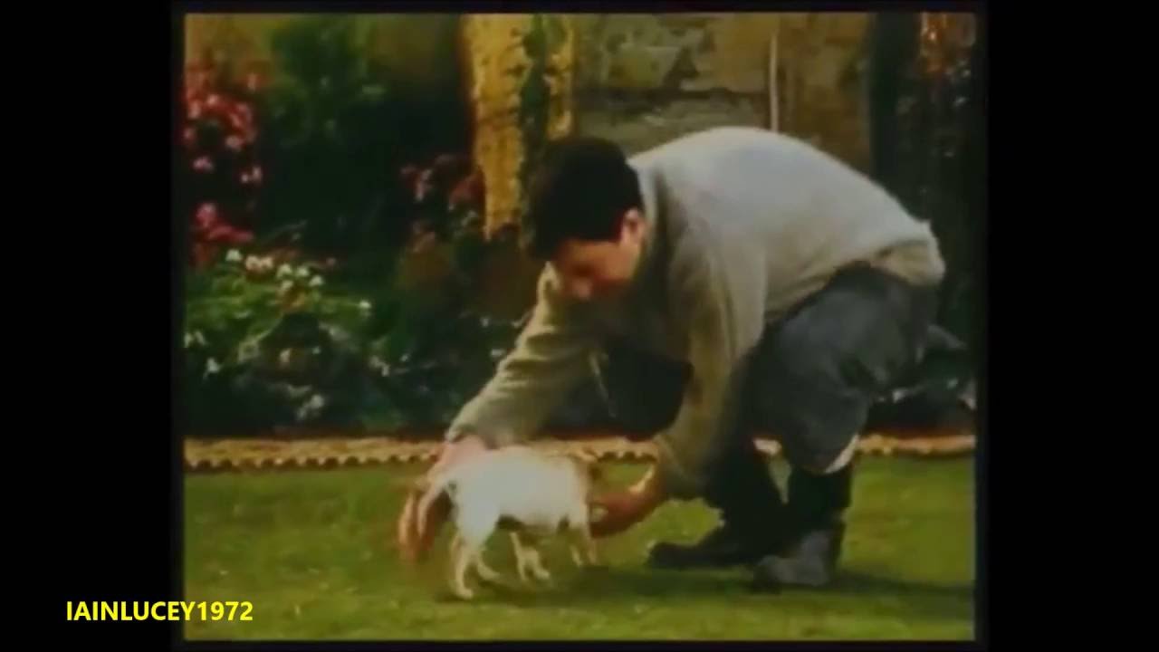 HAMLET CIGARS TV ADVERT 1986 puppy with toilet paper THAMES TELEVISION ...