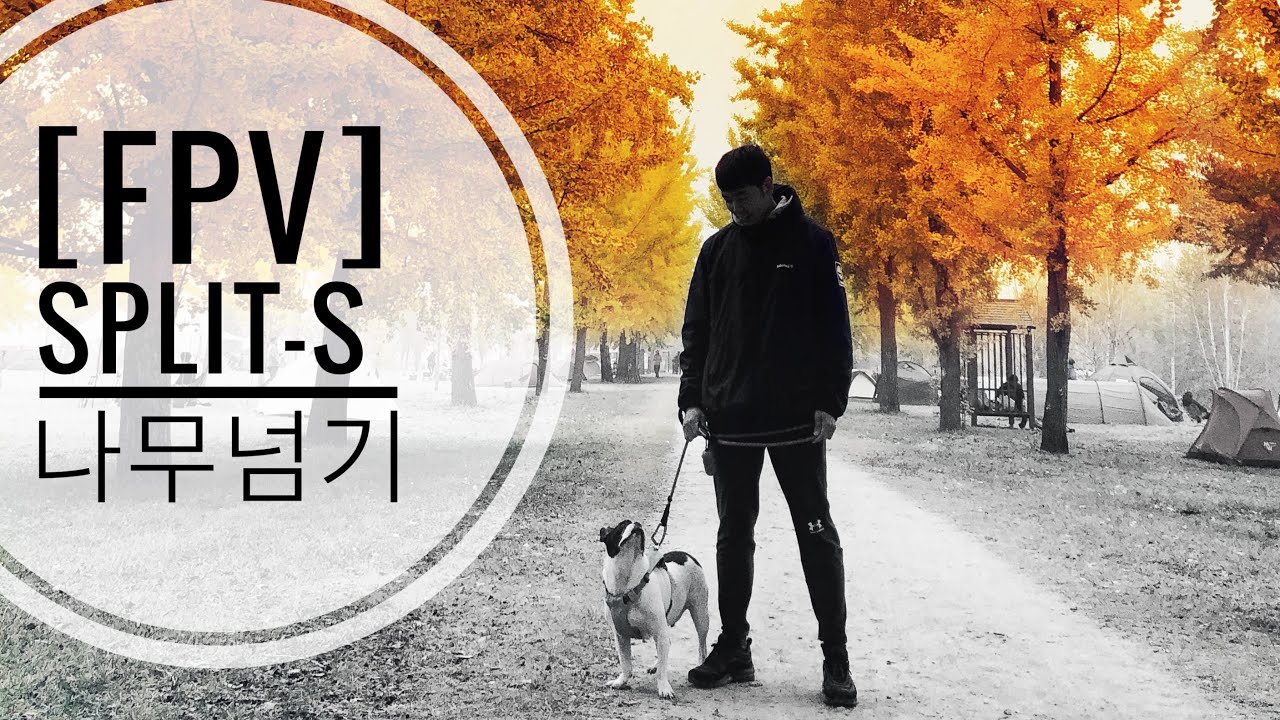 [FPV] 나무넘기 연습 Split-S #practiceLog - YouTube