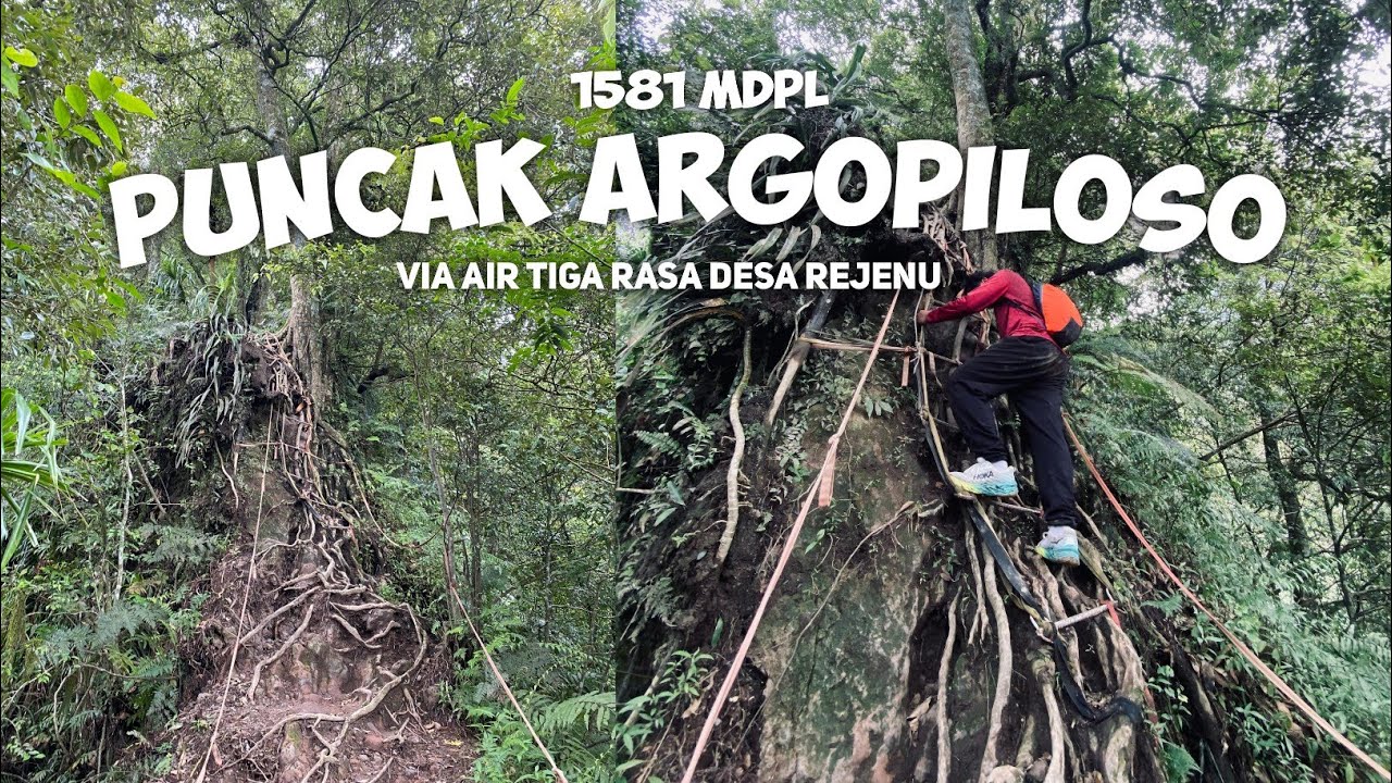 TEKTOK PUNCAK ARGOPILOSO GUNUNG MURIA 1581 MDPL TREK FULL AKAR | Ilham ...