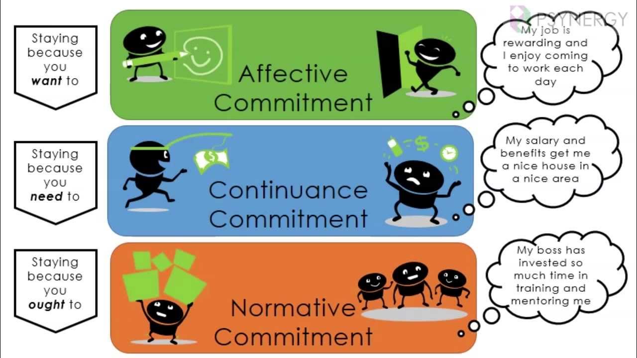 Psynergy The Benefits Of Measuring Organisational Commitment YouTube Psynergy The Benefits Of Measuring Organisational Commitment YouTube