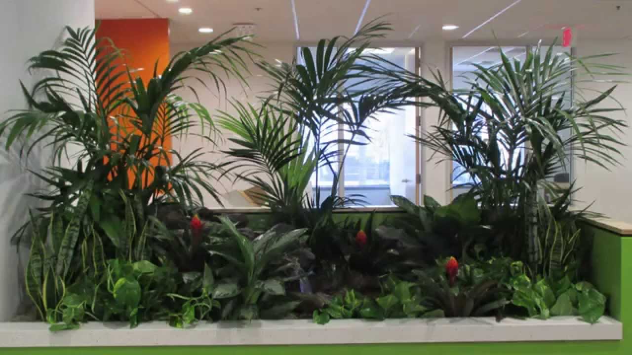 Custom Interior Waterfall Landscape - YouTube