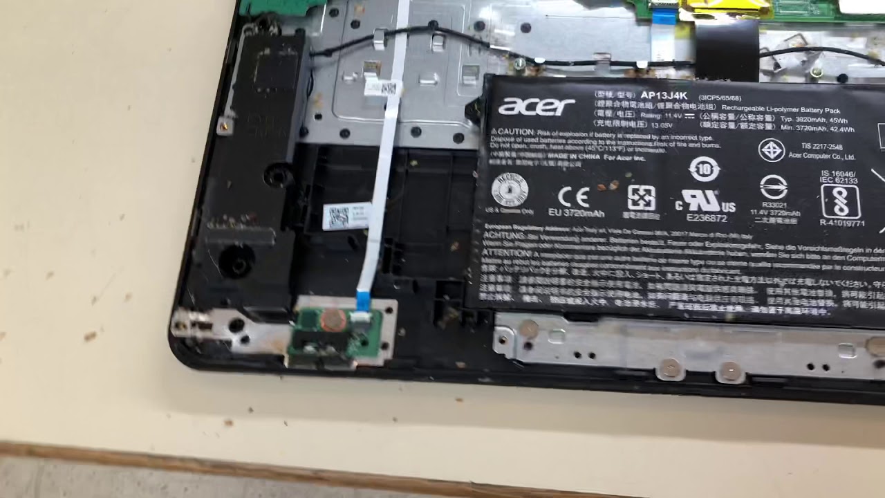 Bedbugs inside a customer’s Acer Chromebook laptop - YouTube