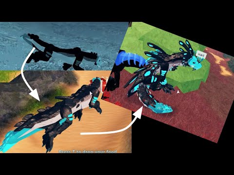 The Life Of A Lissiceous |Roblox Creatures Of Sonaria| - YouTube