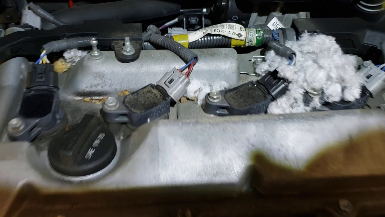 2016 toyota Camry mouse nest in engine bay - YouTube