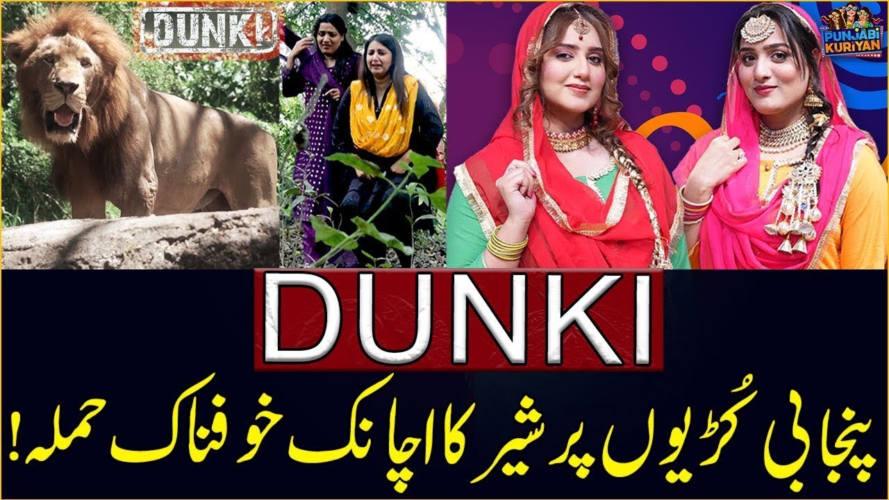 Lion Attack🦁 | Sher Ka Chanko Manko Khaufnaak Hamla! | Punjabi Kuriyan ...