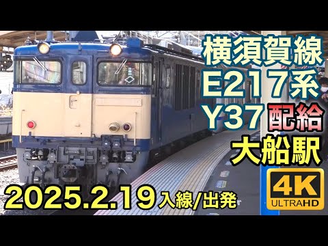 【4K】E217系 Y-37編成 配給 大船駅 入線と出発 (EF64 1030けん引) 2025.2.19 - YouTube