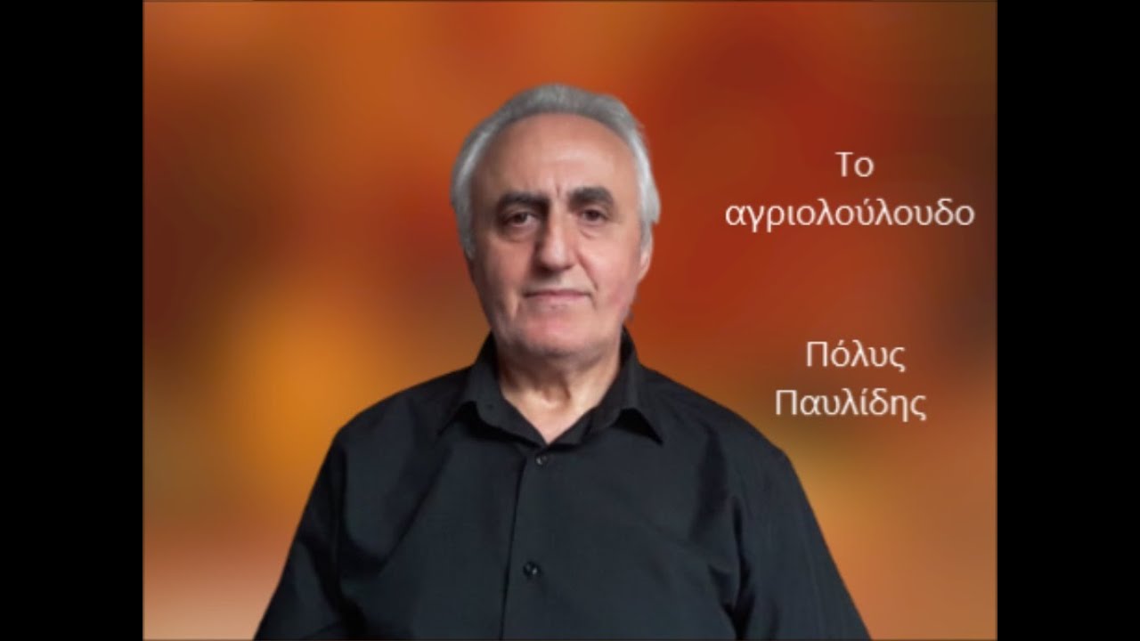 ΤΟ ΑΓΡΙΟΛΟΥΛΟΥΔΟ-Πόλυς Παυλίδης - YouTube