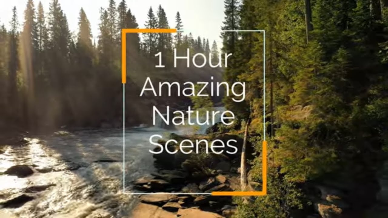 1 Hour Amazing Nature Scenes - YouTube