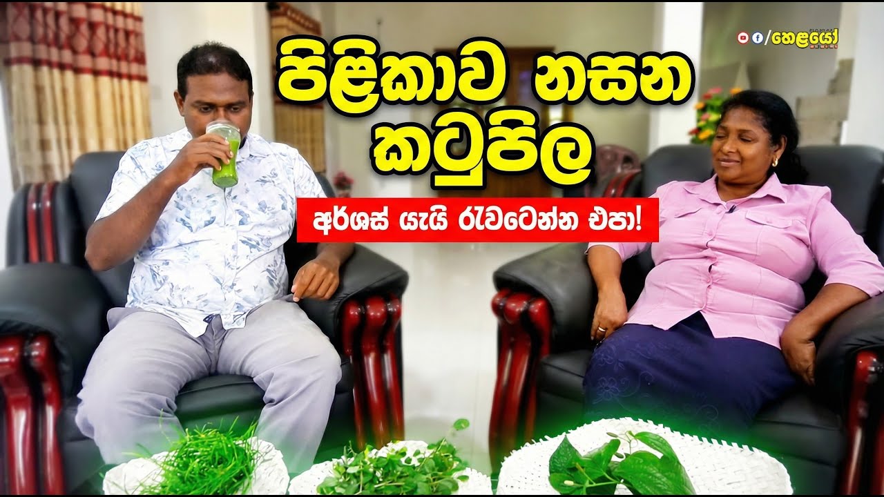 ශරීරයේ අභ්‍යන්තර රෝග සහ ගෙඩි සුව කරන දේශීය ඔසු | Katu Pila ...