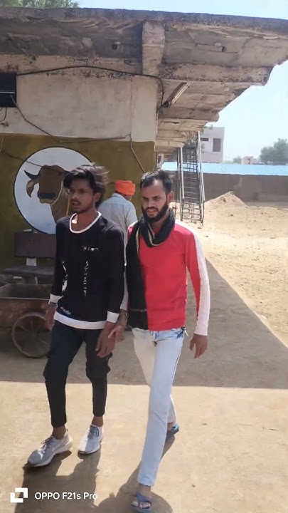 आज गौ माता को घास खिलाया कौन Monu Gau Bajrangdal Youtube