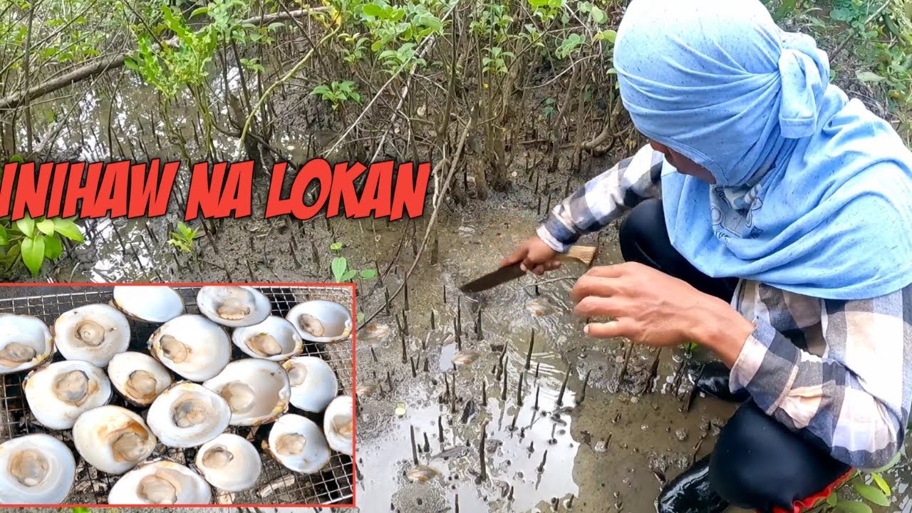 EP236- KAGGU FORAGING+ napakasarap na UBOD ng ANAHAW - YouTube