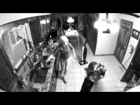 Viscous Dog Fight 2