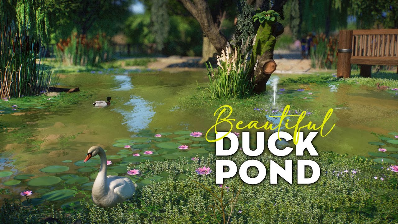 Enchanted little DUCK Pond with Swans and Mallards / Planet Zoo - YouTube