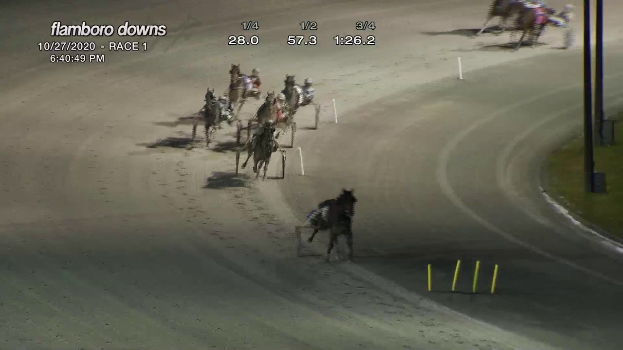 OCT 27,2020-RACE 1-FLAMBORO DOWNS - YouTube