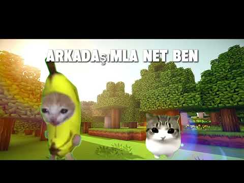 Kısa vidio