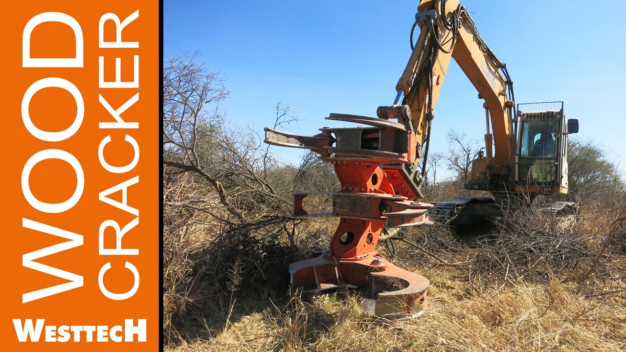 Tree Shear || Woodcracker in Namibia | Trailer - YouTube