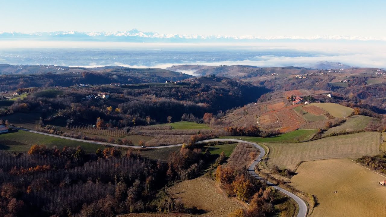 OZONE Studios 2023 - YouTube