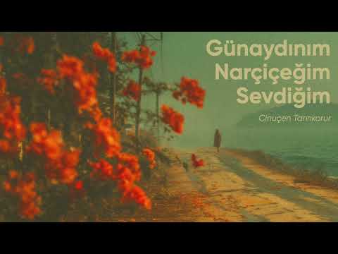 Cinuçen Tanrıkorur - Günaydınım | 70s Psychedelic Anatolian Rock Cover