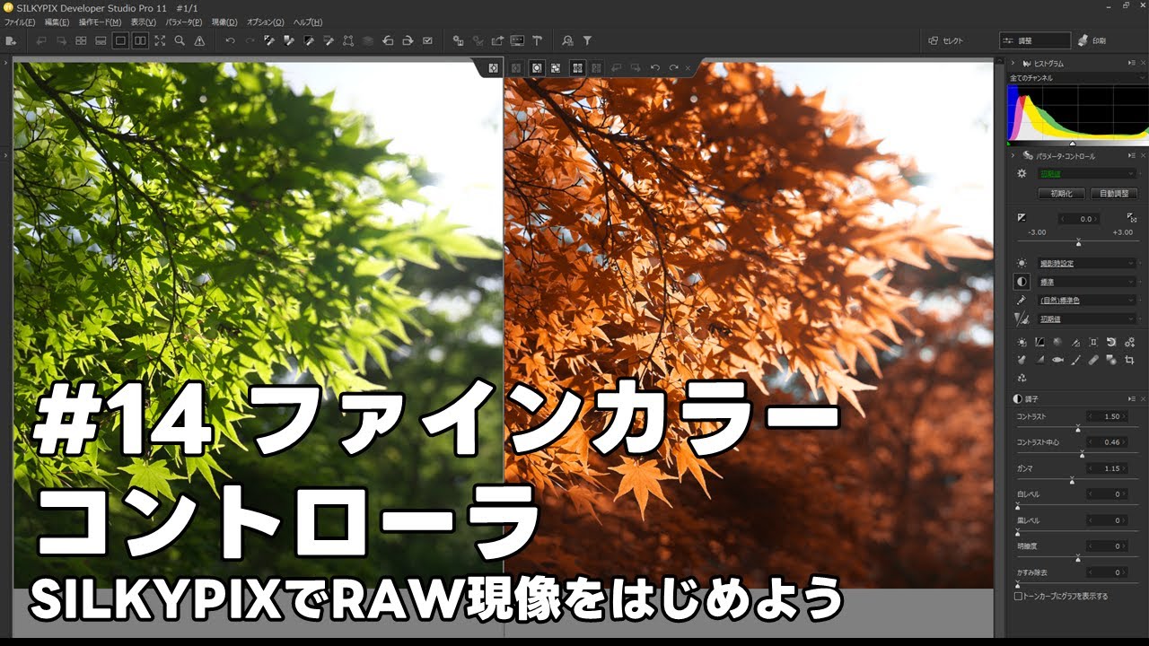 SILKYPIXでRAW現像をはじめよう #14 ファインカラーコントローラ - YouTube